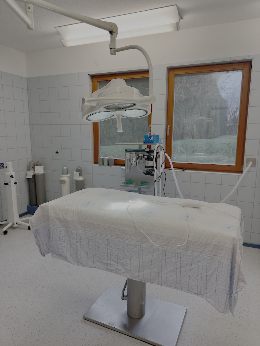Tierrztliche Klinik Fr Kleintiere Leverkusen Rezensionen